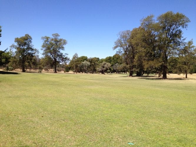 Hole 1 | Loxton Golf Club